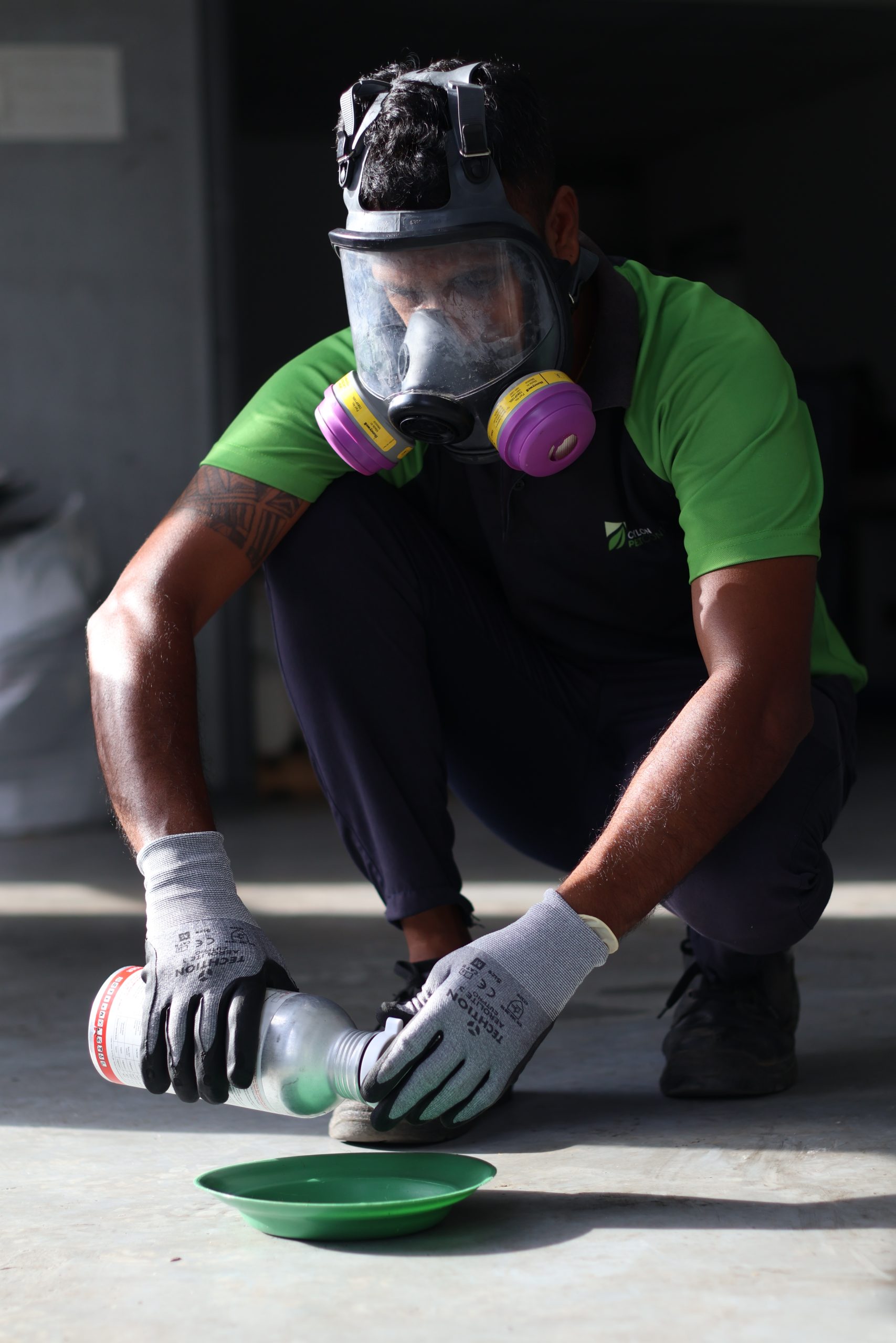 What is Fumigation? | Fumigation Services | Ceylon Pest Control Guide