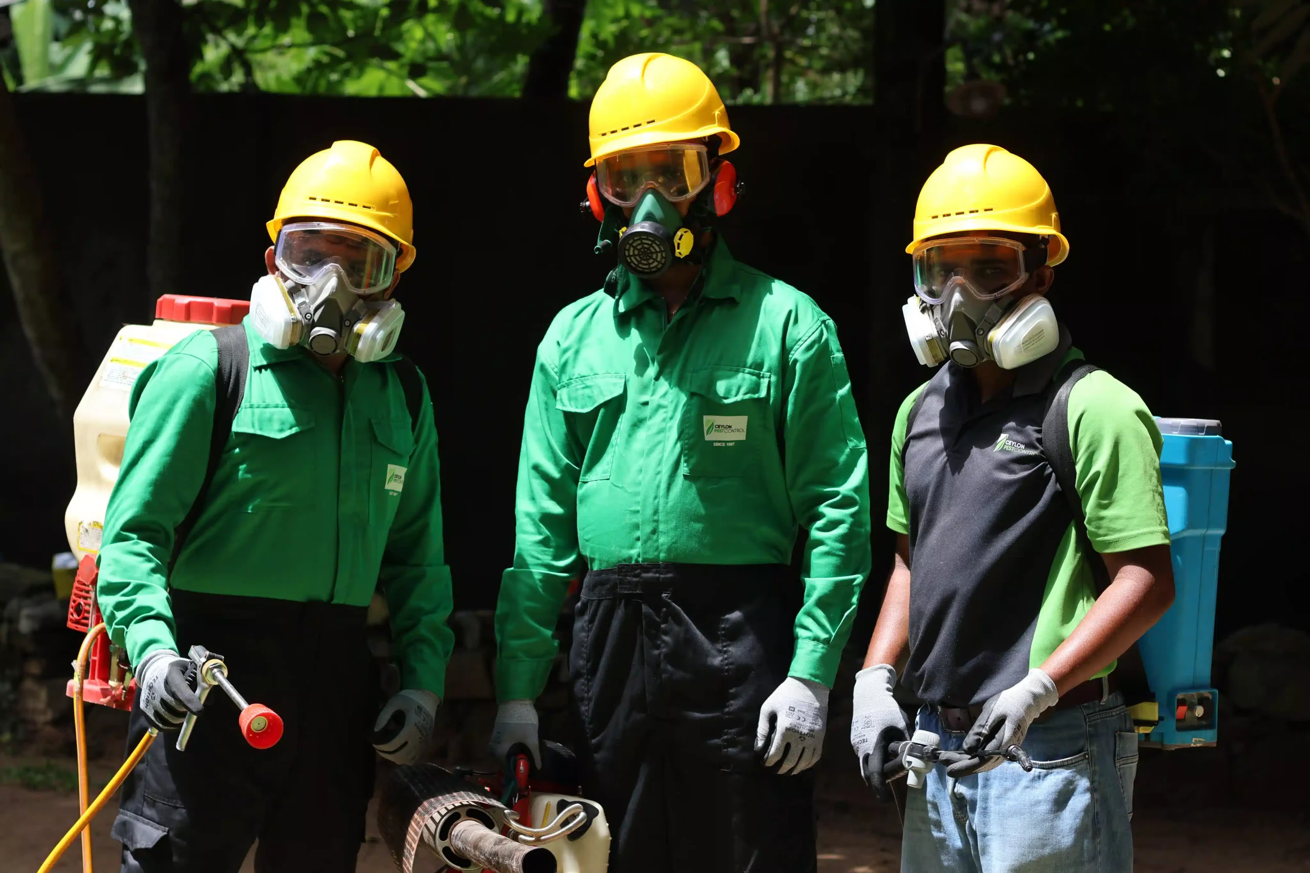 The Leading Pest Control Company in Sri Lanka | Ceylon Pest Control